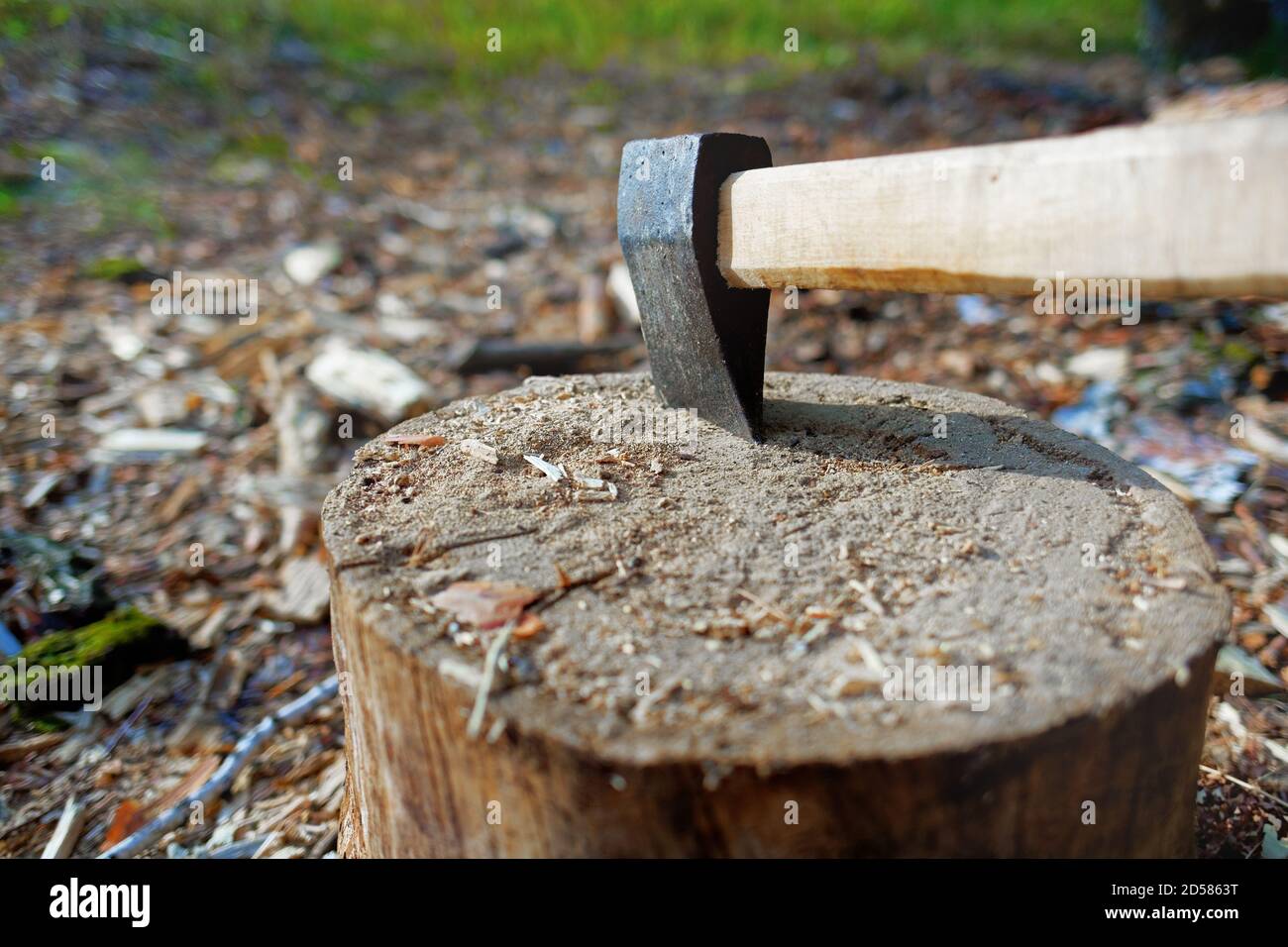 An axe in a chock. Wood harvesting in the forest Stock Photo - Alamy