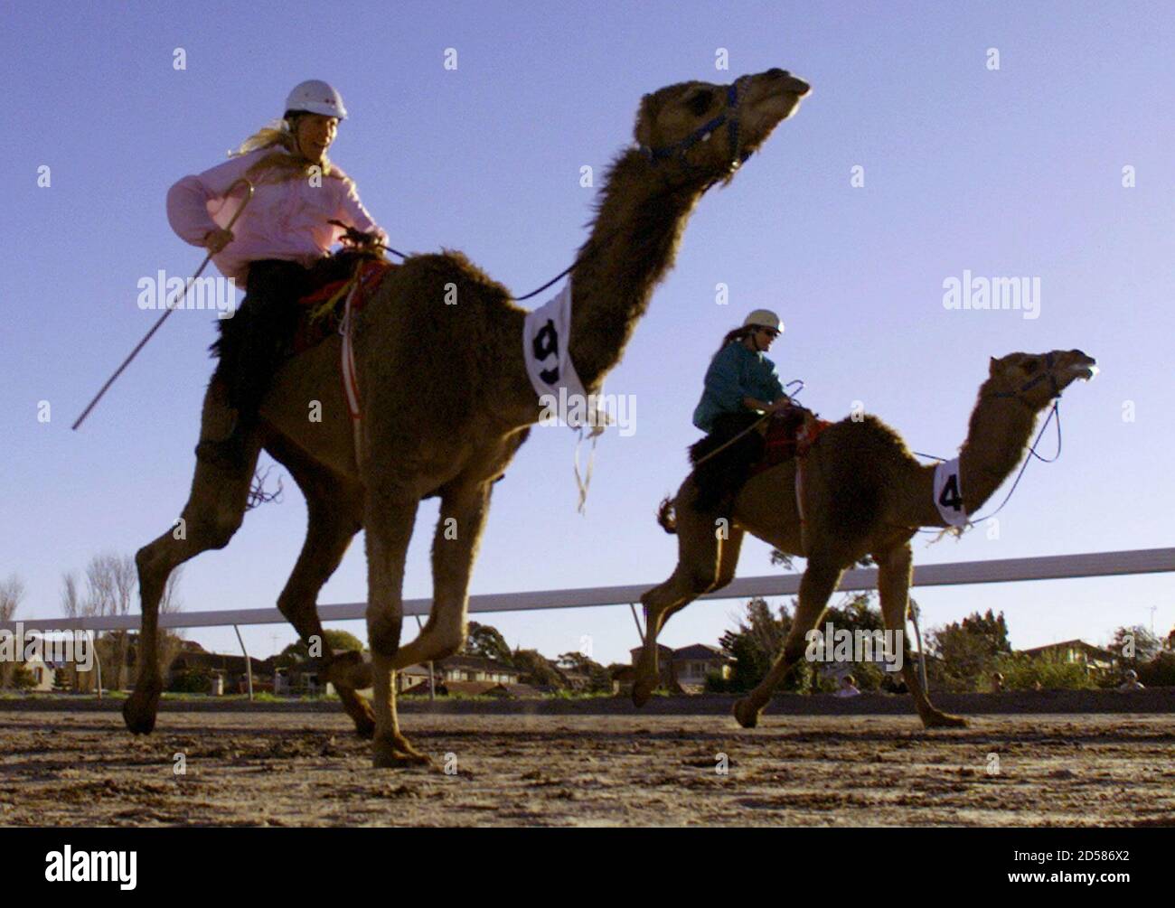 Australian race meeting hi-res stock photography and images - Alamy