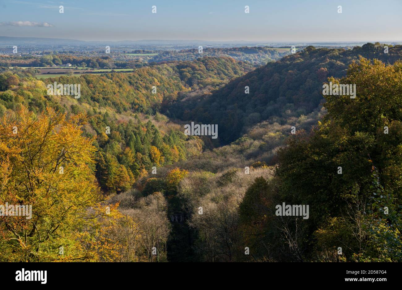 The valley of the River Ure at Hackfall Woods near Grewelthorpe, North ...