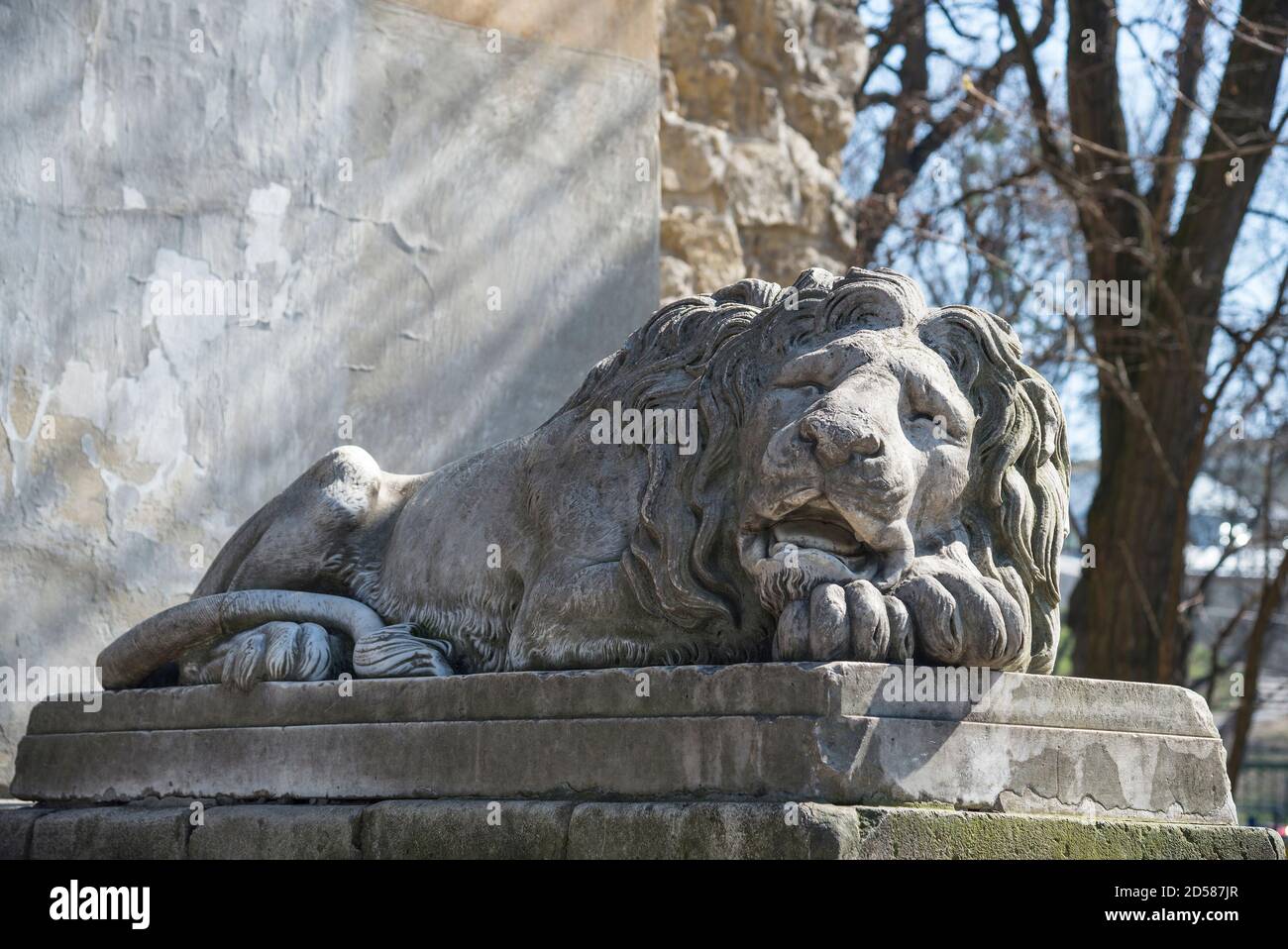 Sculpture of lion. Symbol of the city Lviv near the Powder tower in ...