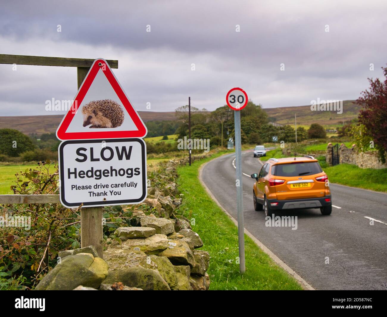 Hedgehog crossing sign hi-res stock photography and images - Alamy