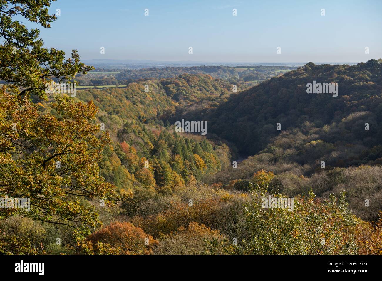 The valley of the River Ure at Hackfall Woods near Grewelthorpe, North ...