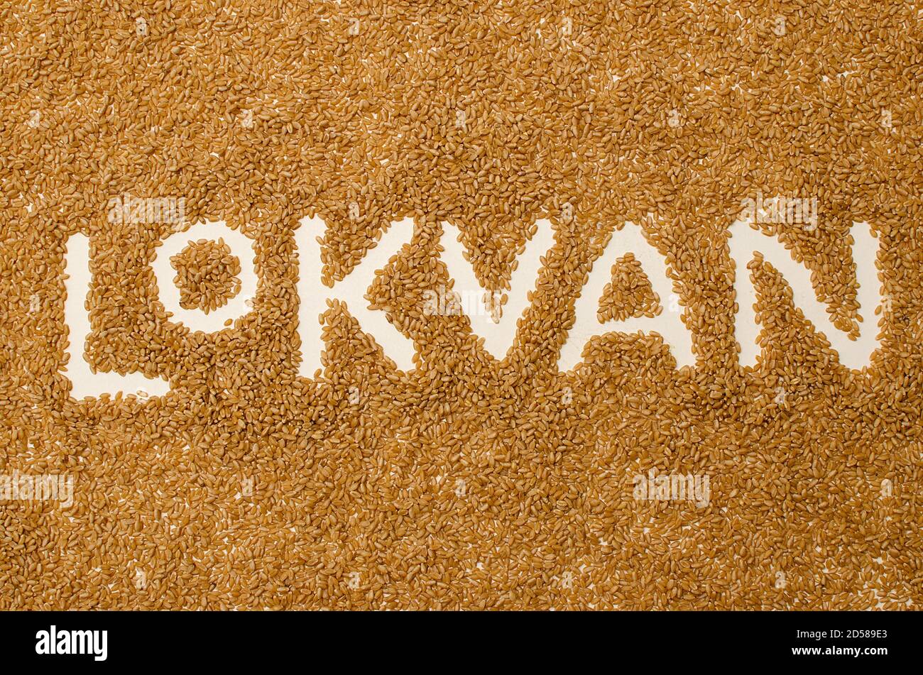 Brown colored Lokvan wheat background with Lokvan Letters displayed ...