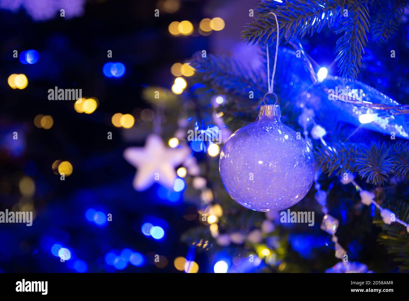 Christmas Tree Tumblr Photography