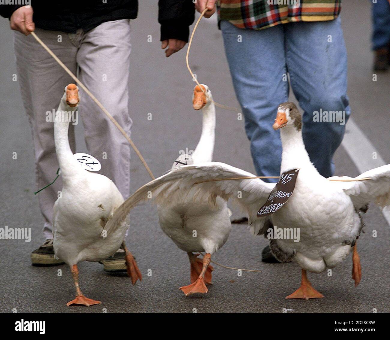 Mirano venice hi-res stock photography and images - Alamy