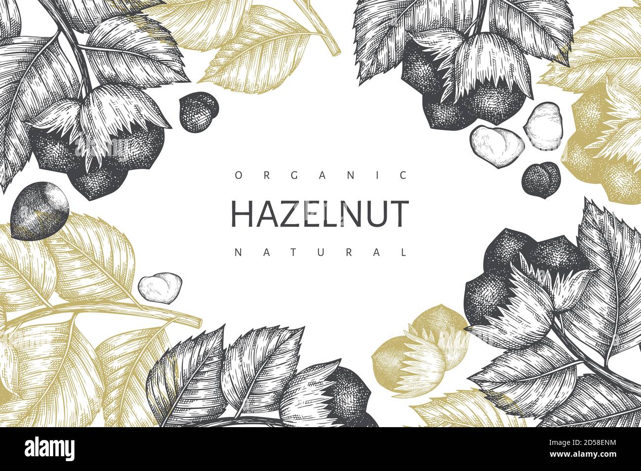 Hand drawn sketch hazelnut design template. Organic food vector ...