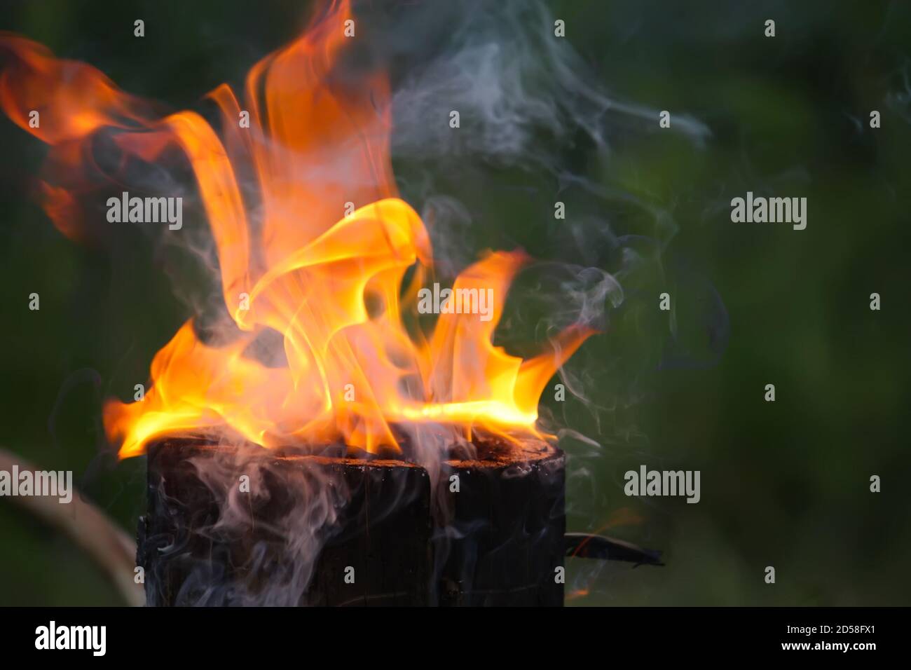 Bright fire flame outdoors. Burning tree stump Stock Photo - Alamy