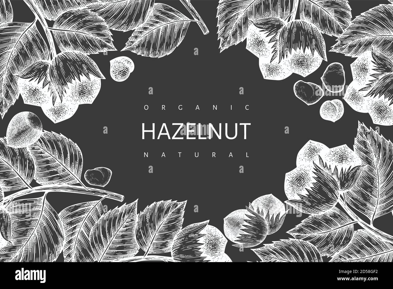 Hand drawn sketch hazelnut design template. Organic food vector ...