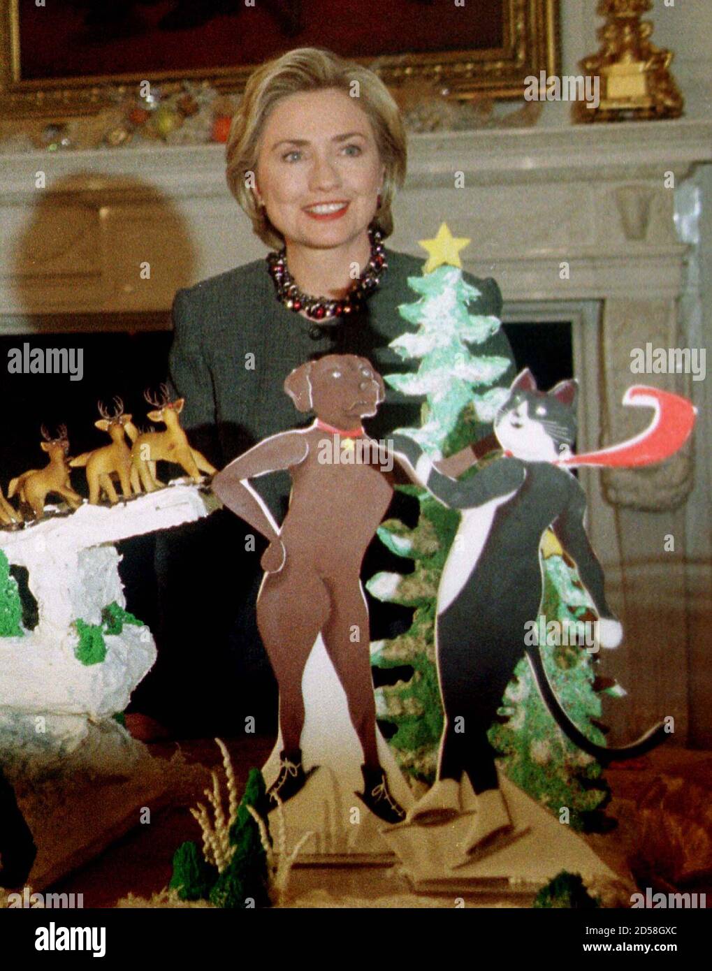 Clinton cat socks hi-res stock photography and images - Alamy