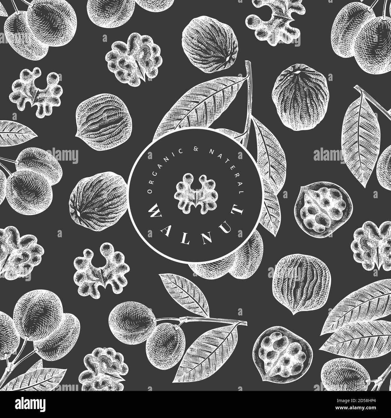 Hand drawn sketch walnut design template. Organic food vector ...