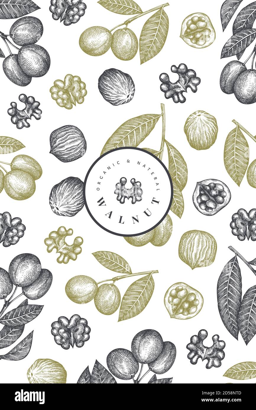 Hand drawn sketch walnut design template. Organic food vector ...