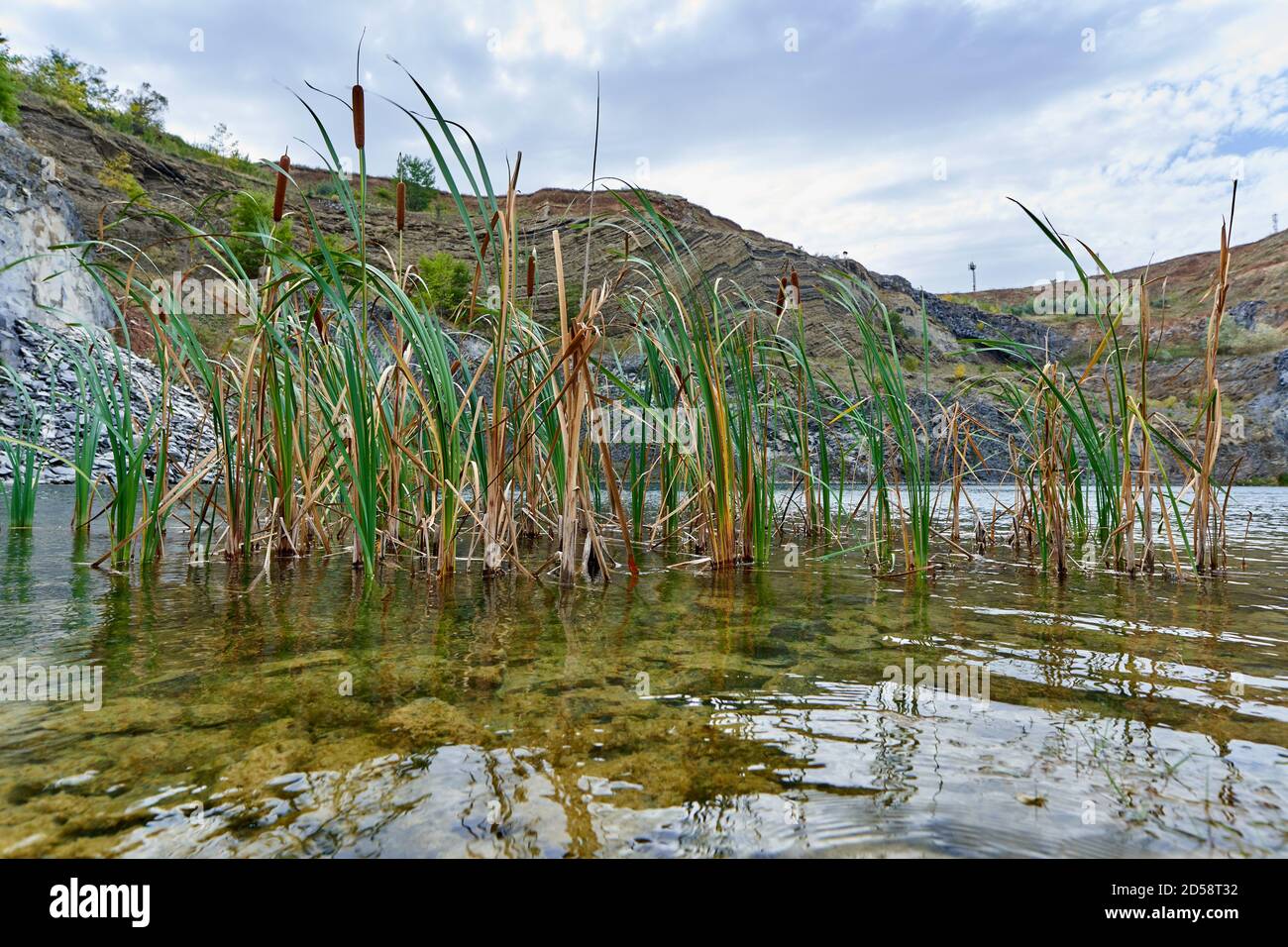 Landscape with a lake formed in an ancient quarry with sedimentary ...