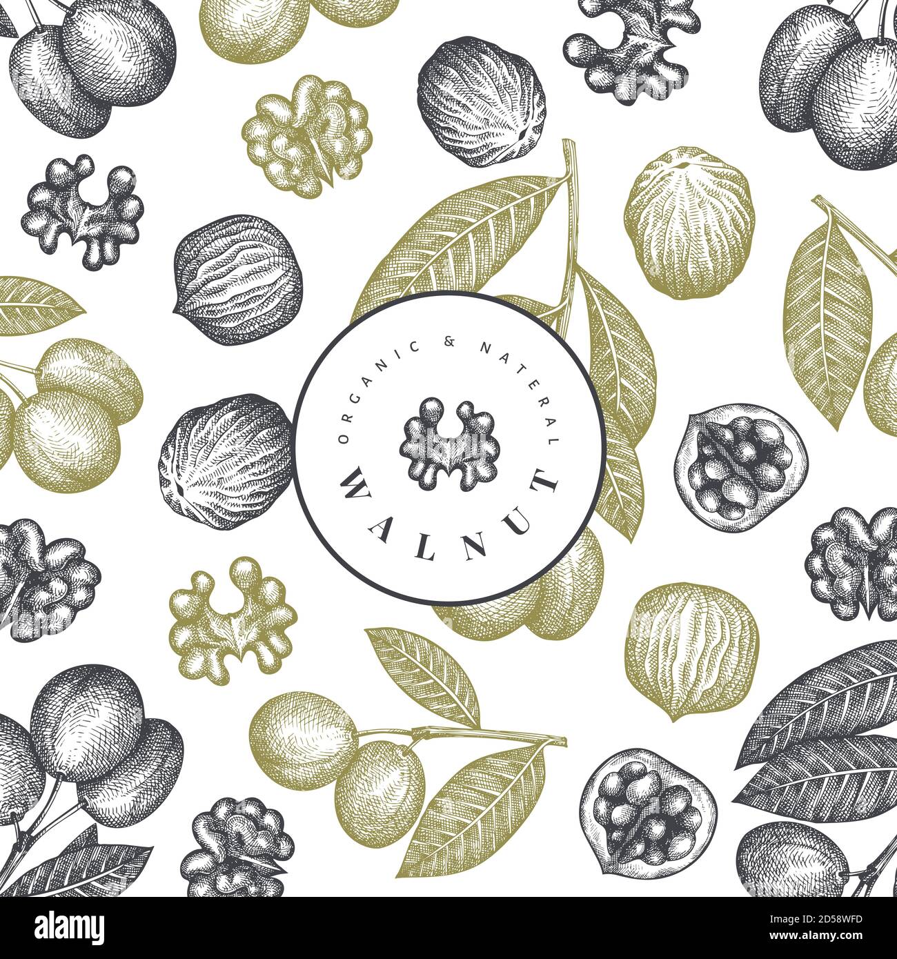Hand drawn sketch walnut design template. Organic food vector ...