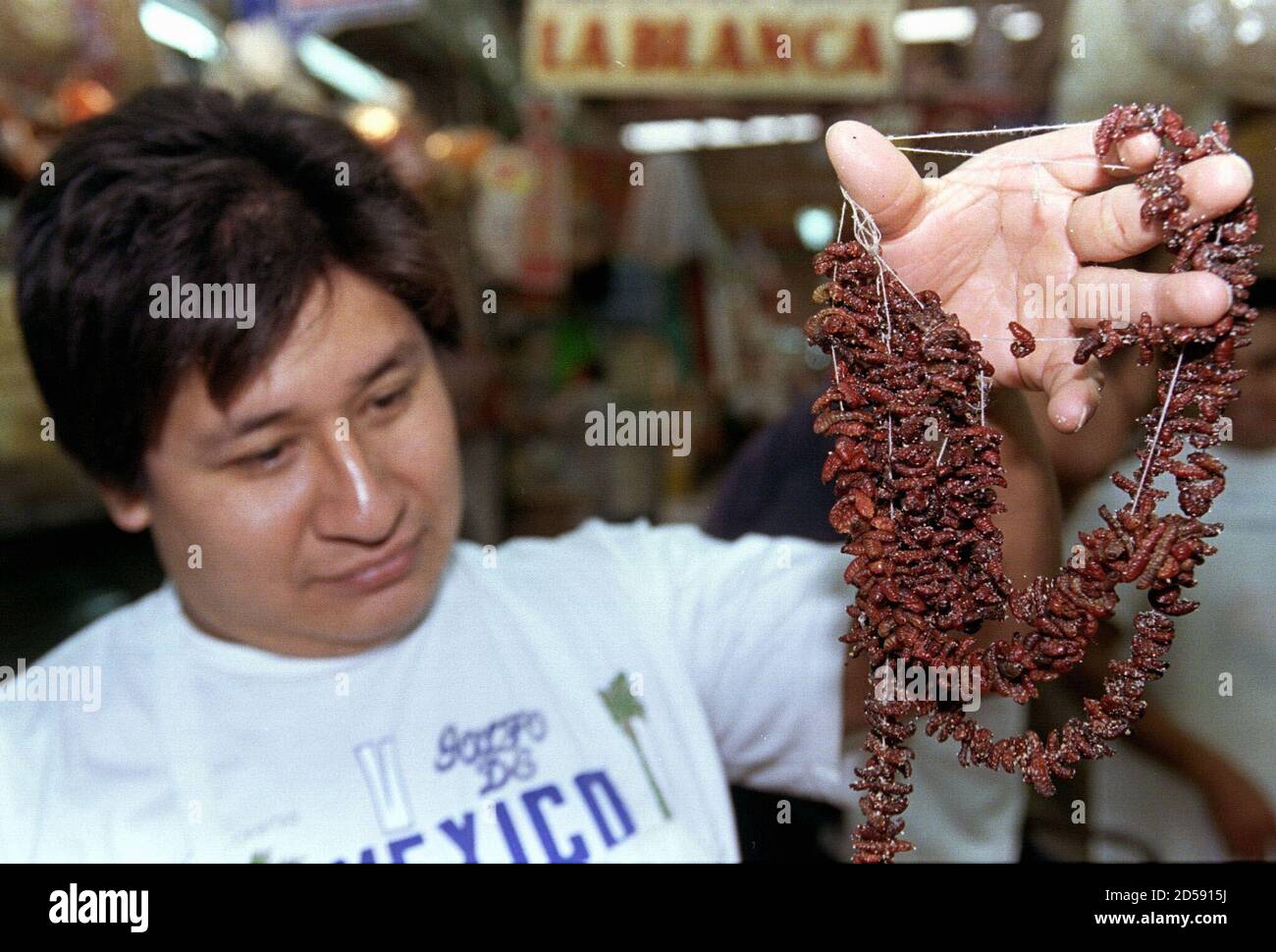 Maguey worms hi-res stock photography and images - Alamy