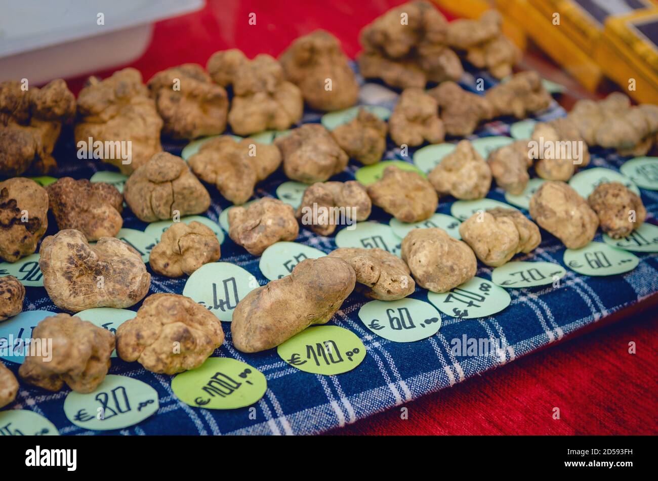 White Truffles (Tuber Magnatum Pico) on a trader stall of the Fiera del ...