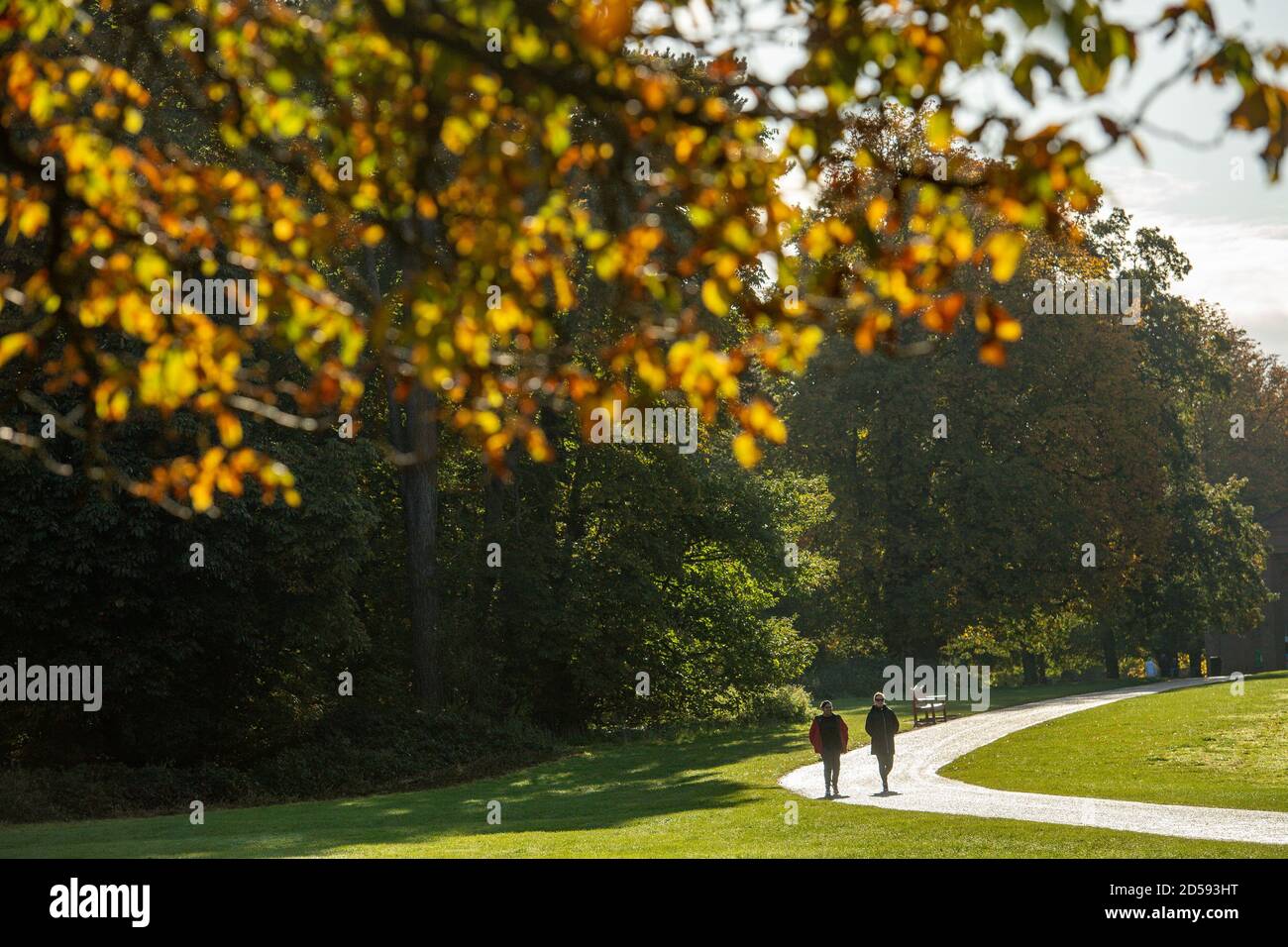 Walkers at Coombe Country Park, Coventry, Warwickshire Stock Photo - Alamy
