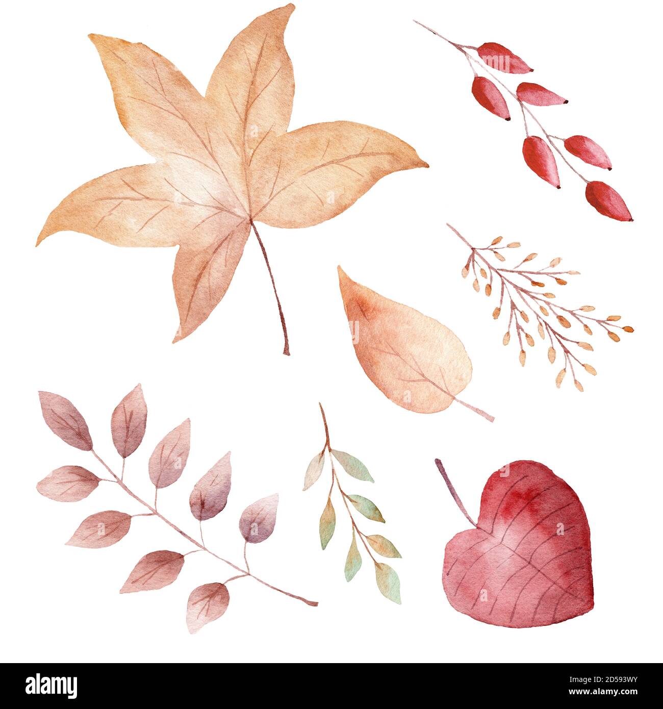 Thanksgiving Autumn Leaves Clip Art