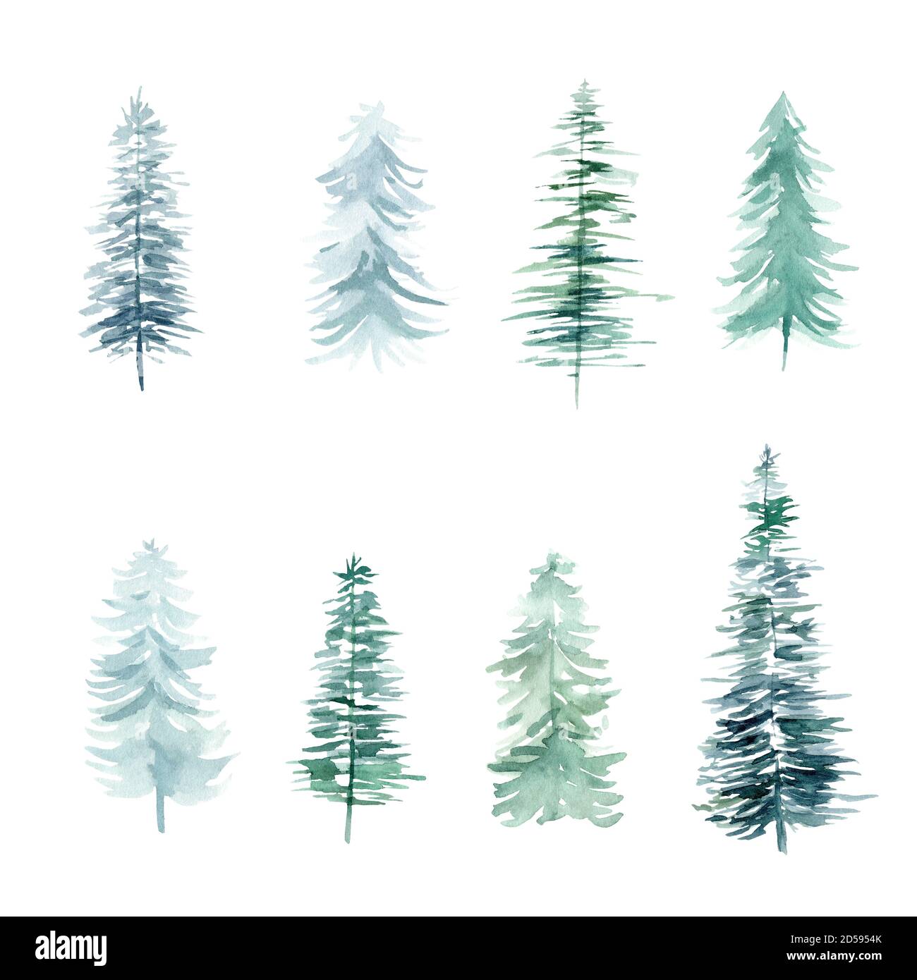 Pine trees watercolor clipart isolated on white background. Winter ...