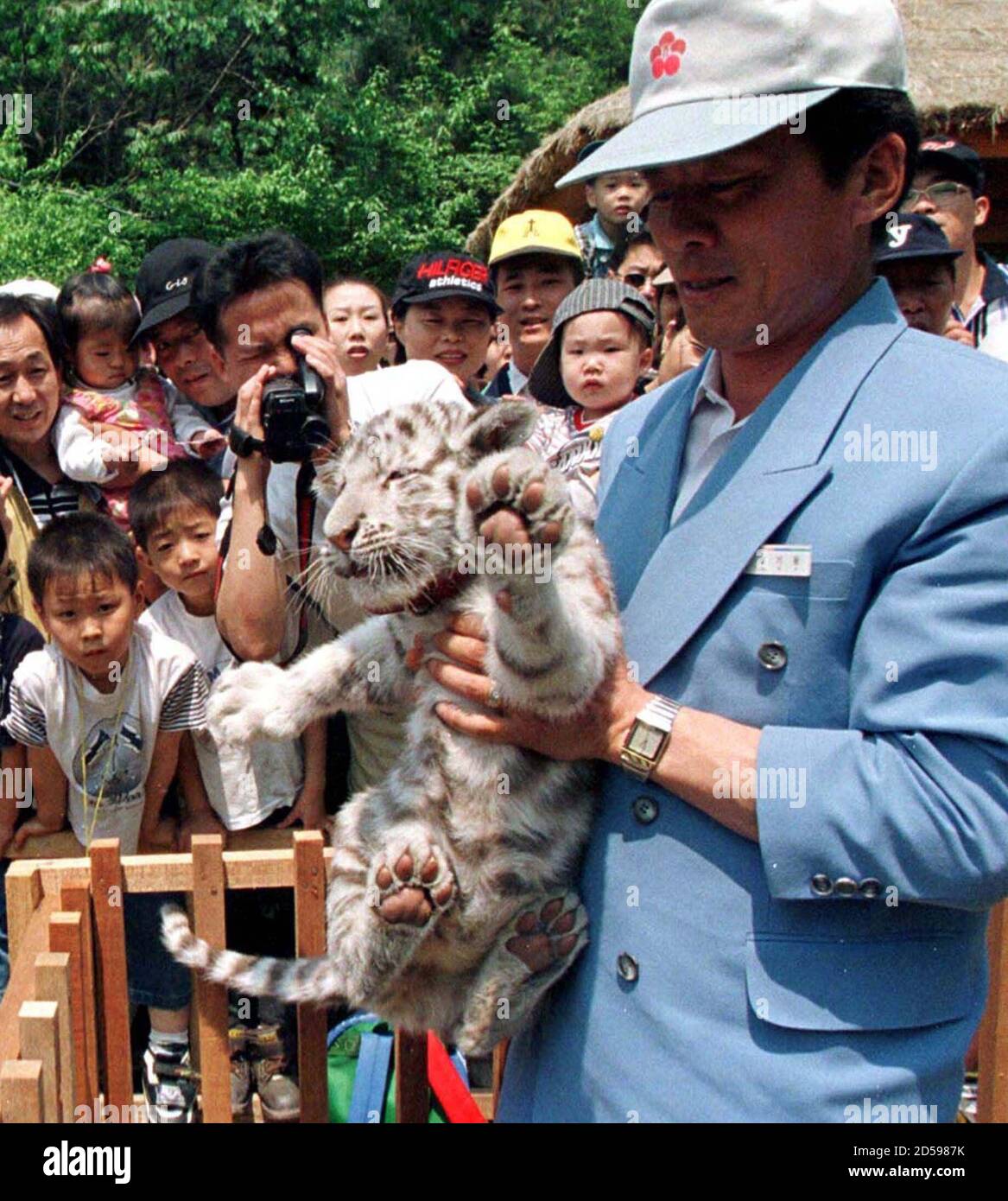 Female zoo keeper tiger hi-res stock photography and images - Alamy