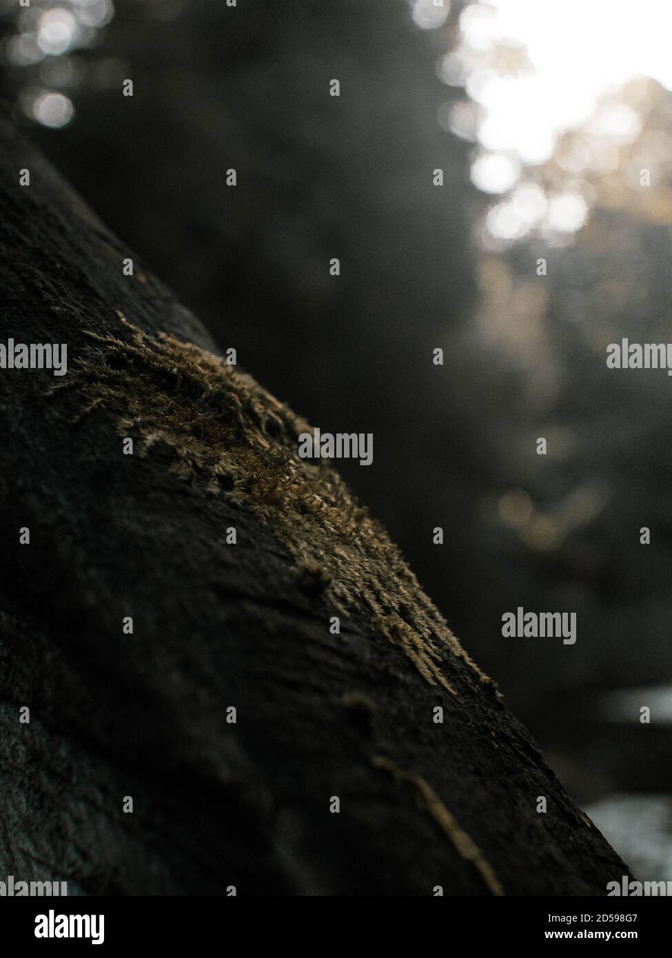 Nature Photography Autumn Stock Photo - Alamy