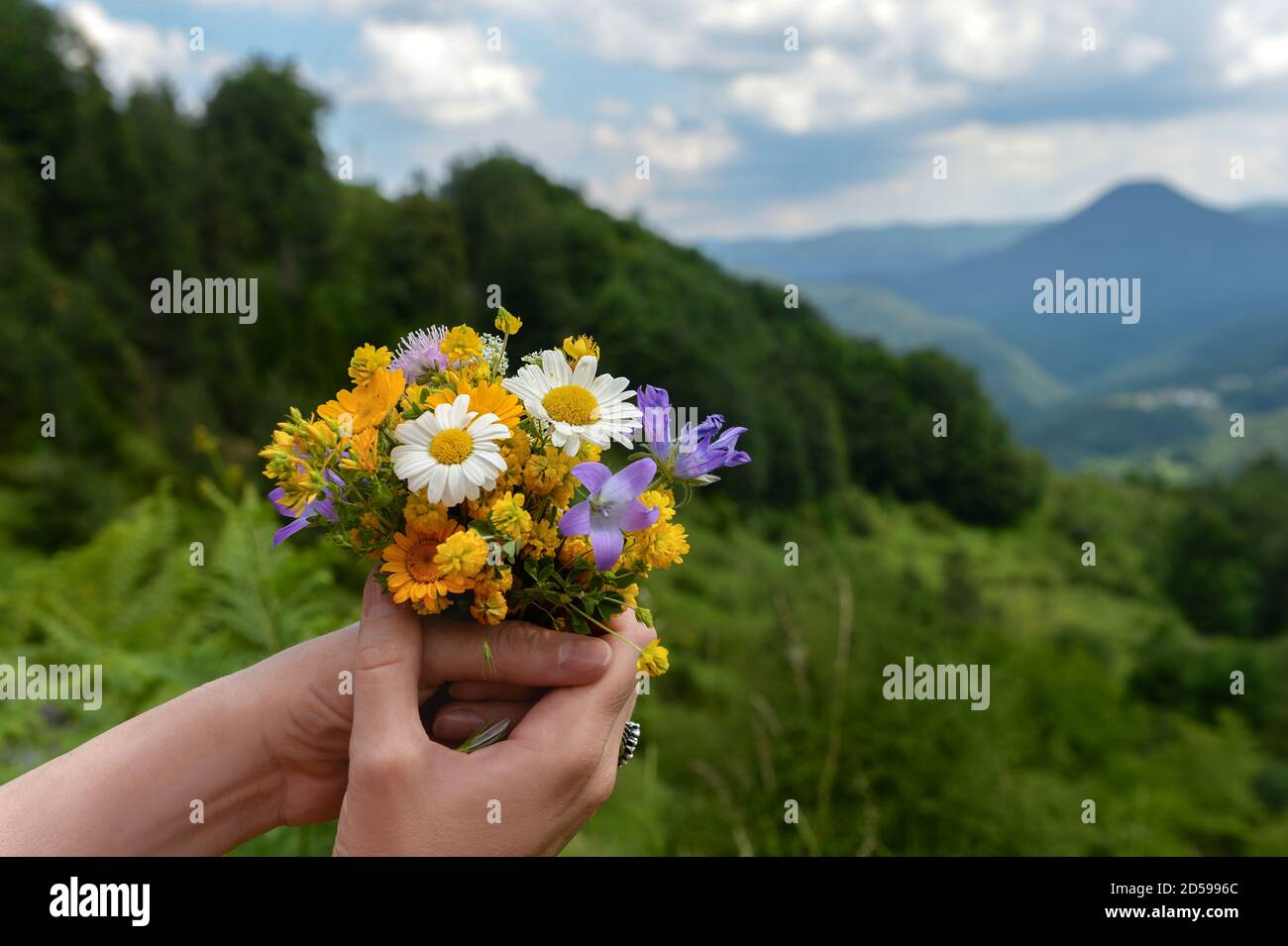 Hand holding bunch wildflowers hi-res stock photography and images - Alamy