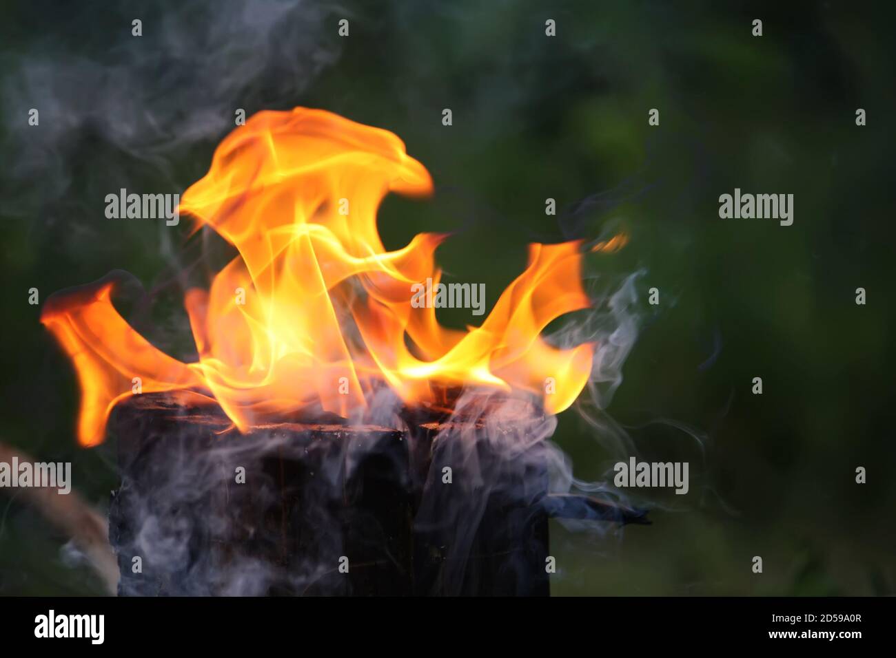 Bright fire flame outdoors. Burning tree stump Stock Photo - Alamy