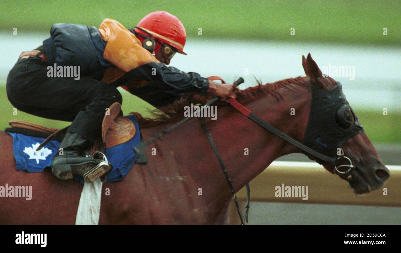 Queens plate hi-res stock photography and images - Alamy