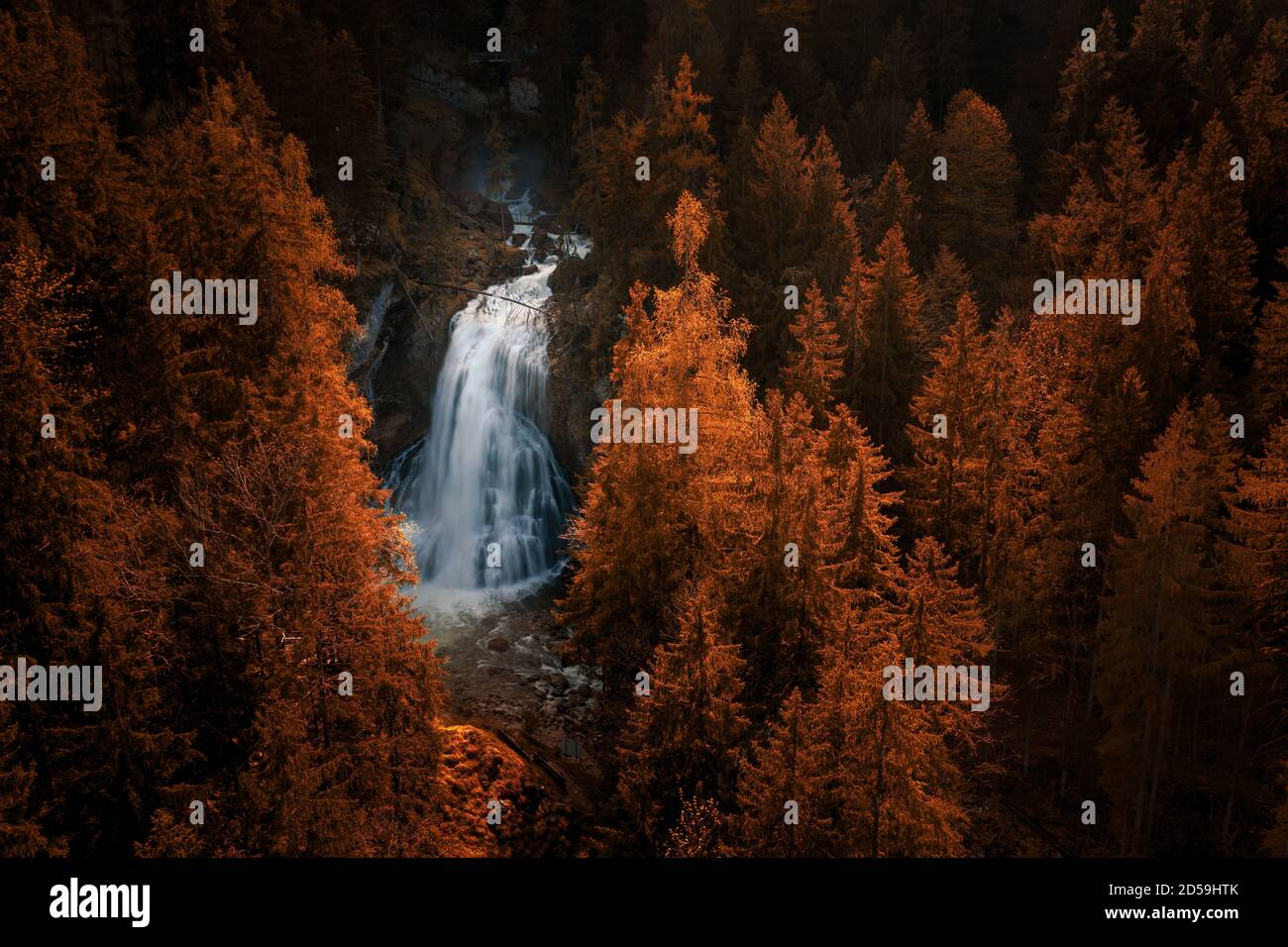 Larch trees in fall colour hi-res stock photography and images - Alamy