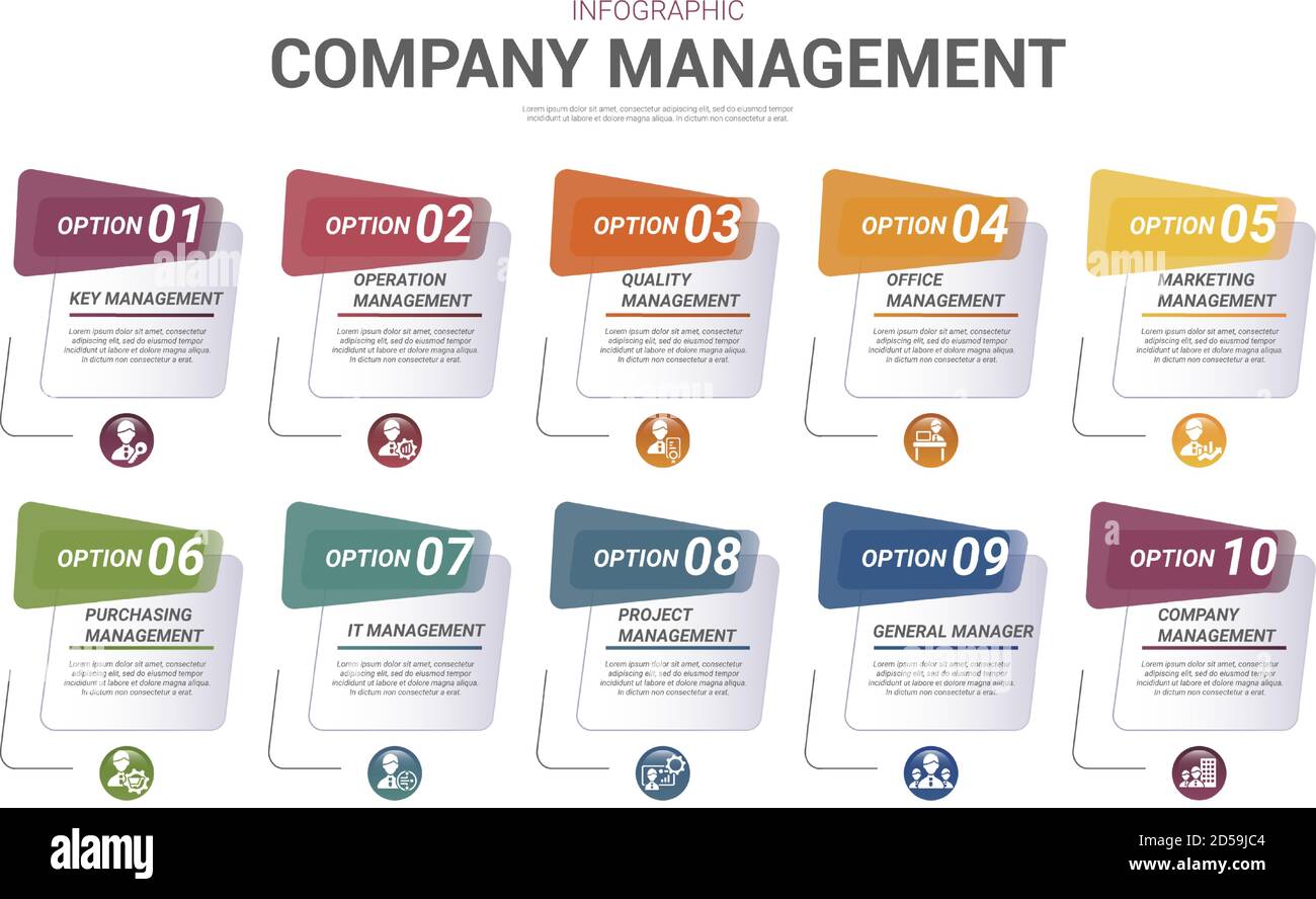 Infographic Company Management template. Icons in different colors ...