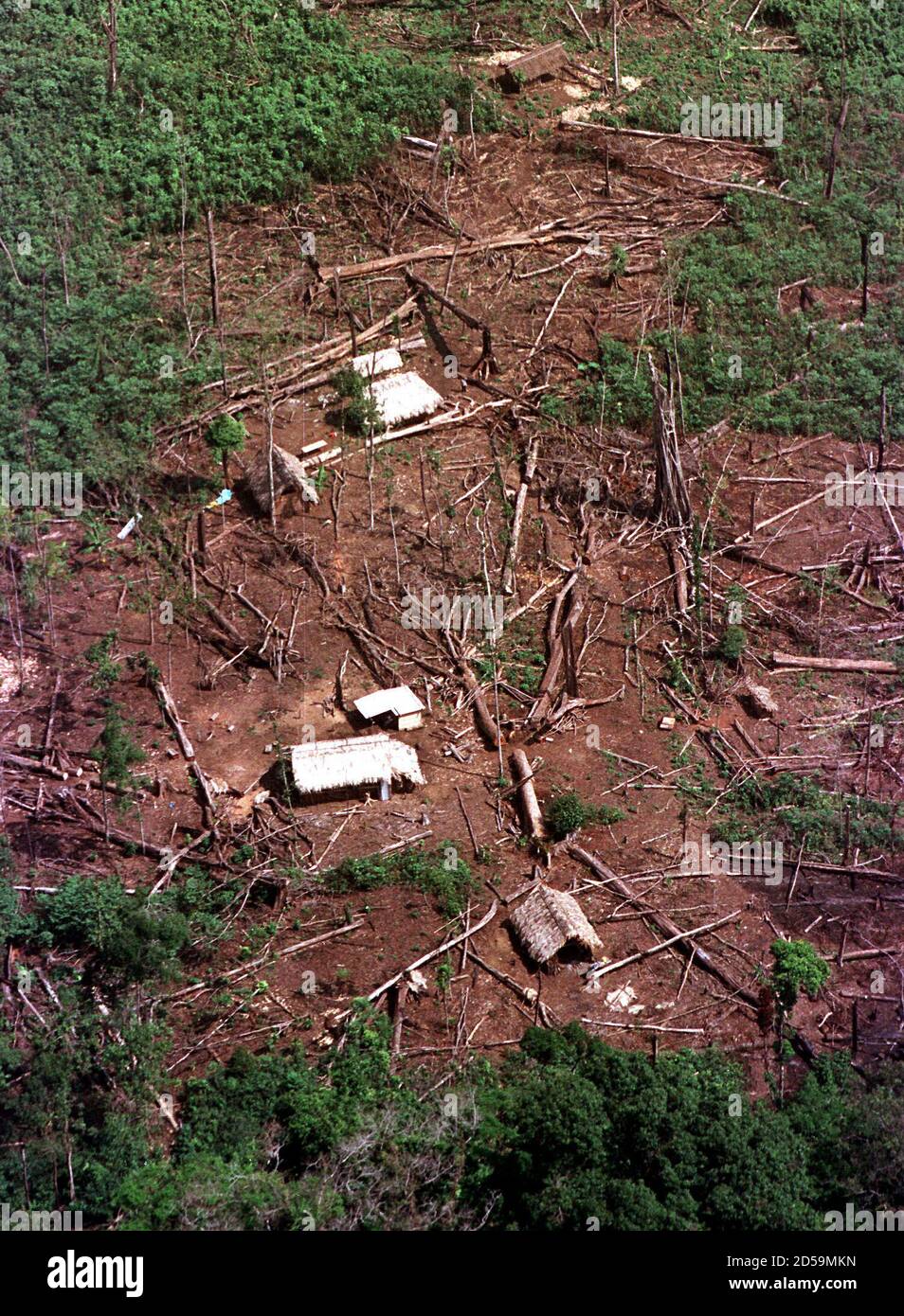 Deforestation aerial then now hi-res stock photography and images - Alamy