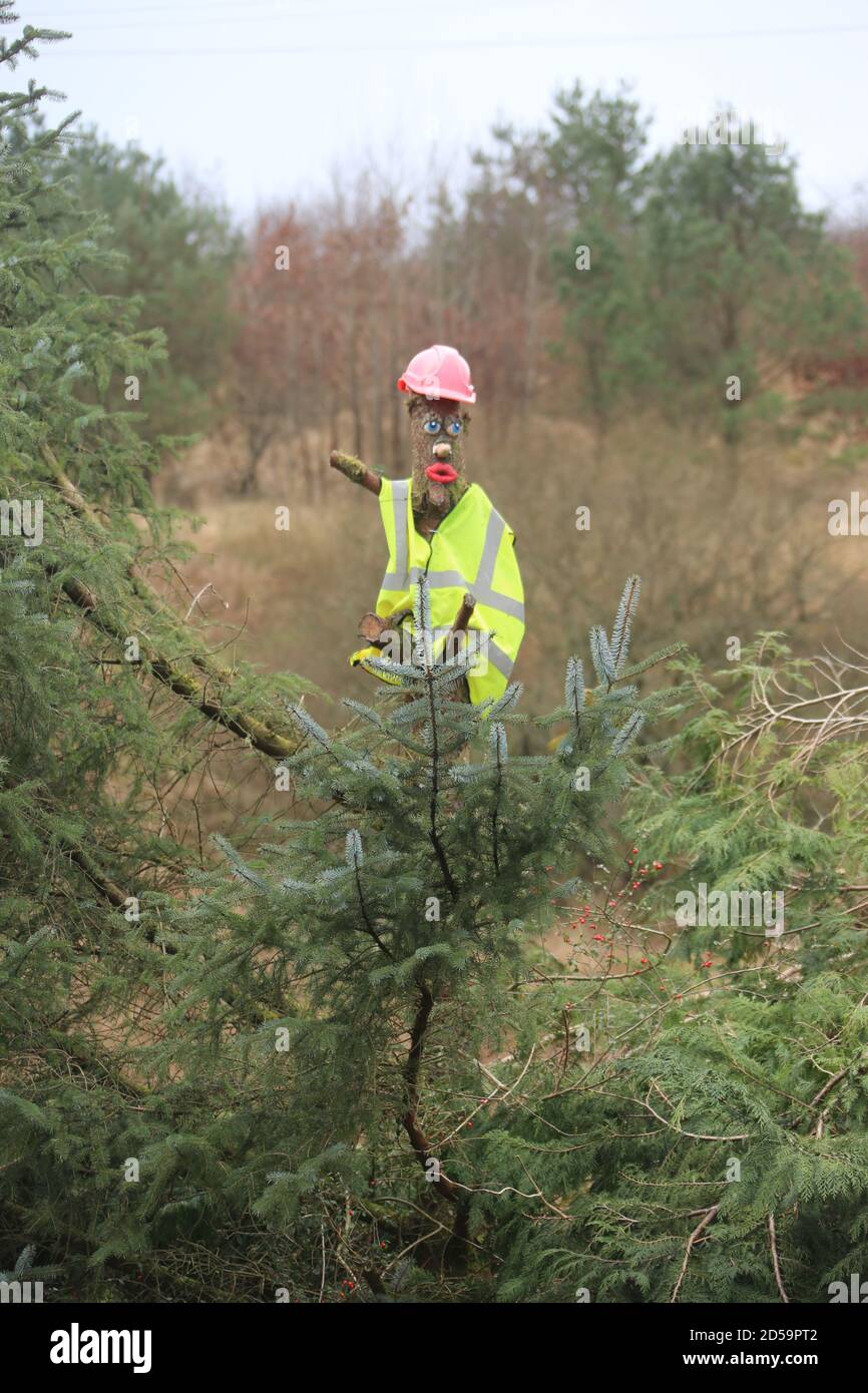 Tree stump with face and high vis vest and hard hat Stock Photo - Alamy