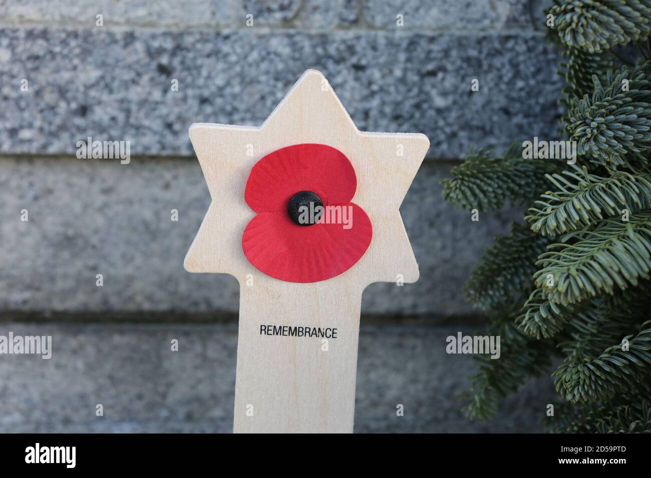 Wooden memorial star cross with poppy on cenptaph war memorial ...