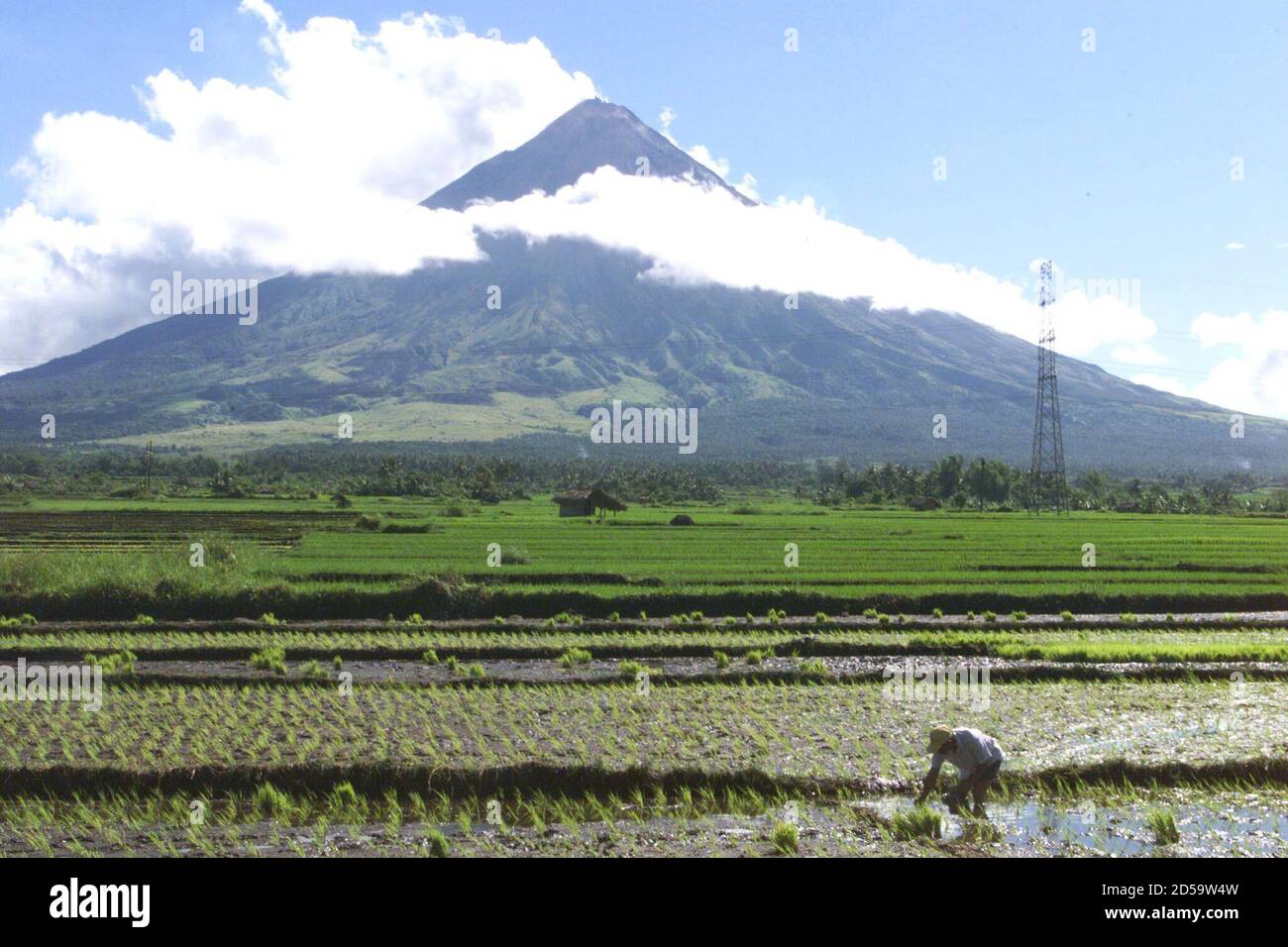 Mayon volcano eruption farmer hi-res stock photography and images - Alamy