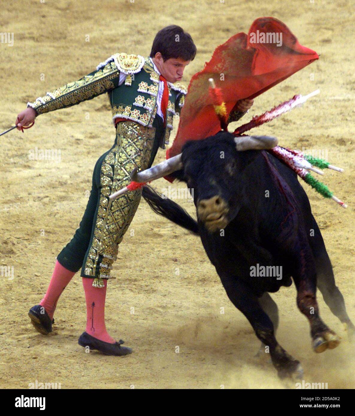 Bulls tail hi-res stock photography and images - Alamy