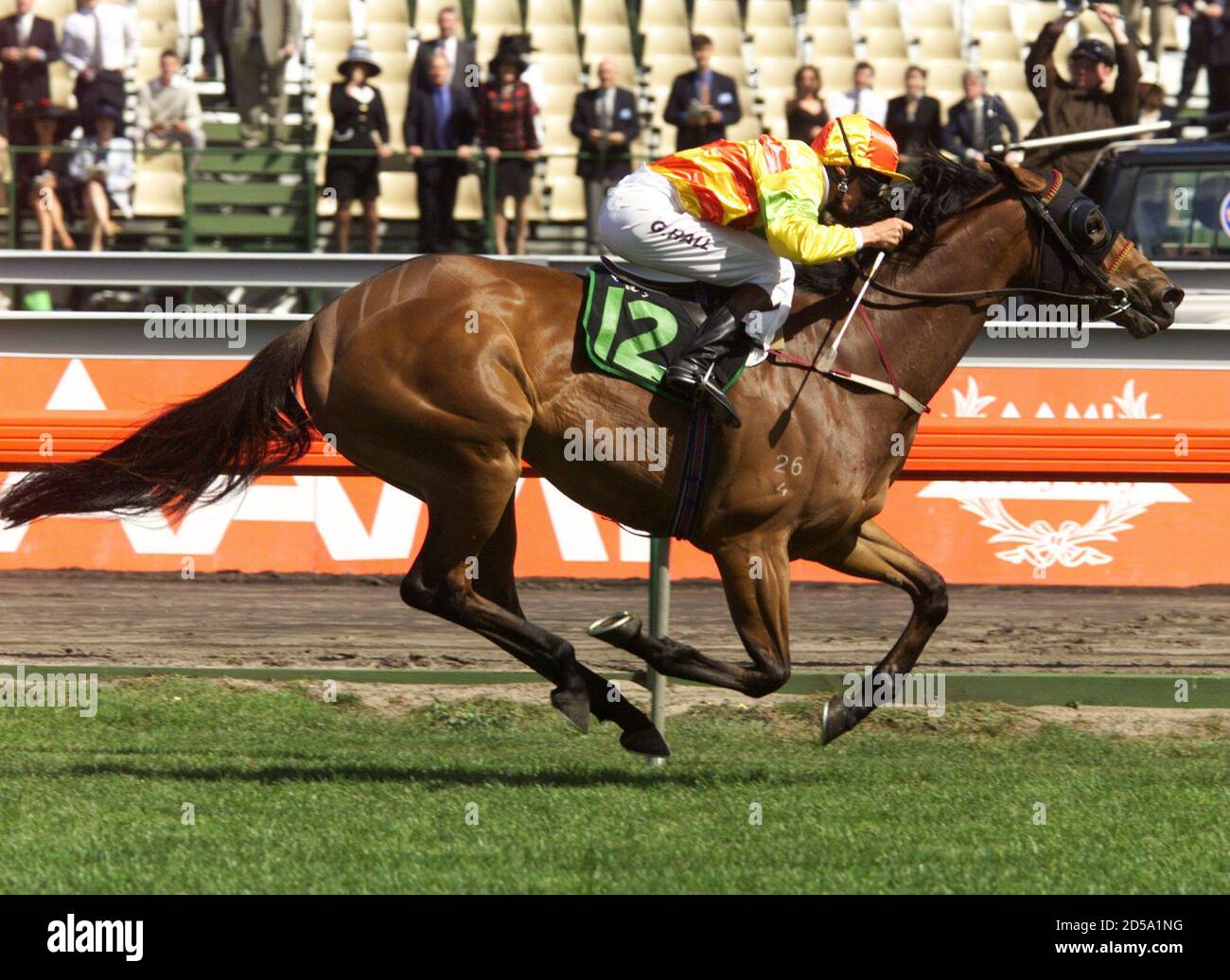 Greg Hall High Resolution Stock Photography and Images - Alamy