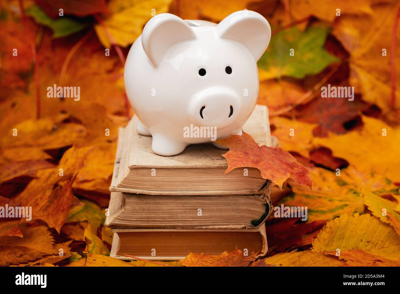 Piggy bank on top of books with autumn background. Cost of education ...