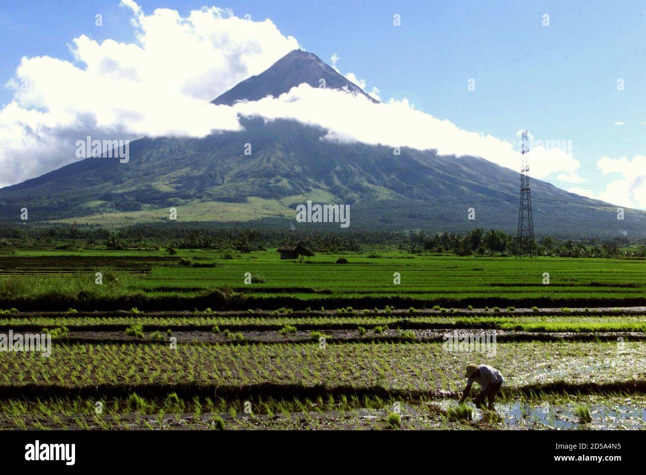 Mayon volcano eruption farmer hi-res stock photography and images - Alamy