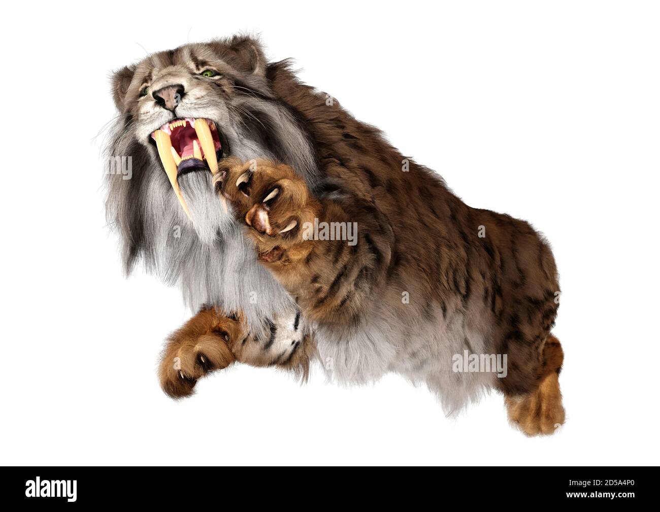 3D rendering of a sabertooth tiger isolated on white background Stock ...