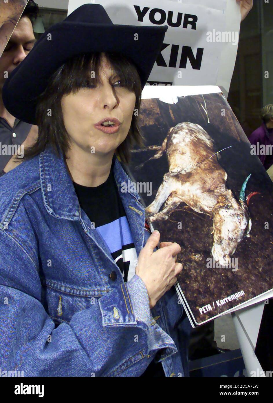 Members Of The Pretenders