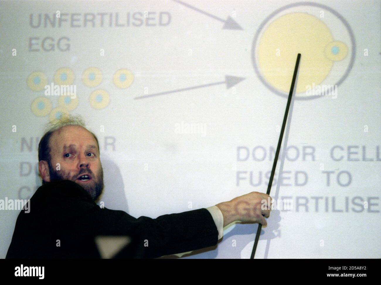 Ian wilmut dolly hi-res stock photography and images - Alamy