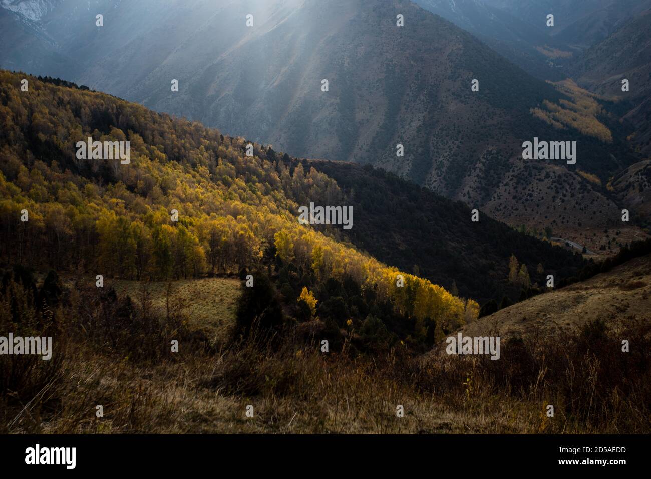 Autumn Hiking to the Boirok Grove in Ala Archa National Park in ...