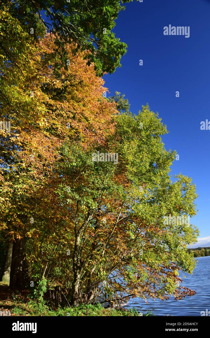 Contrasting colours in nature hi-res stock photography and images - Alamy