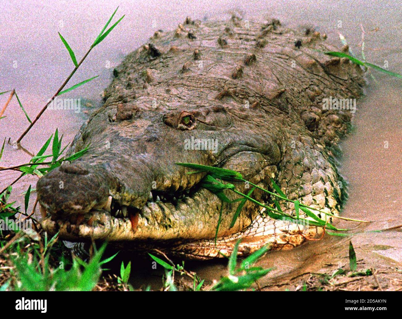 Colombia river 1930s hi-res stock photography and images - Alamy