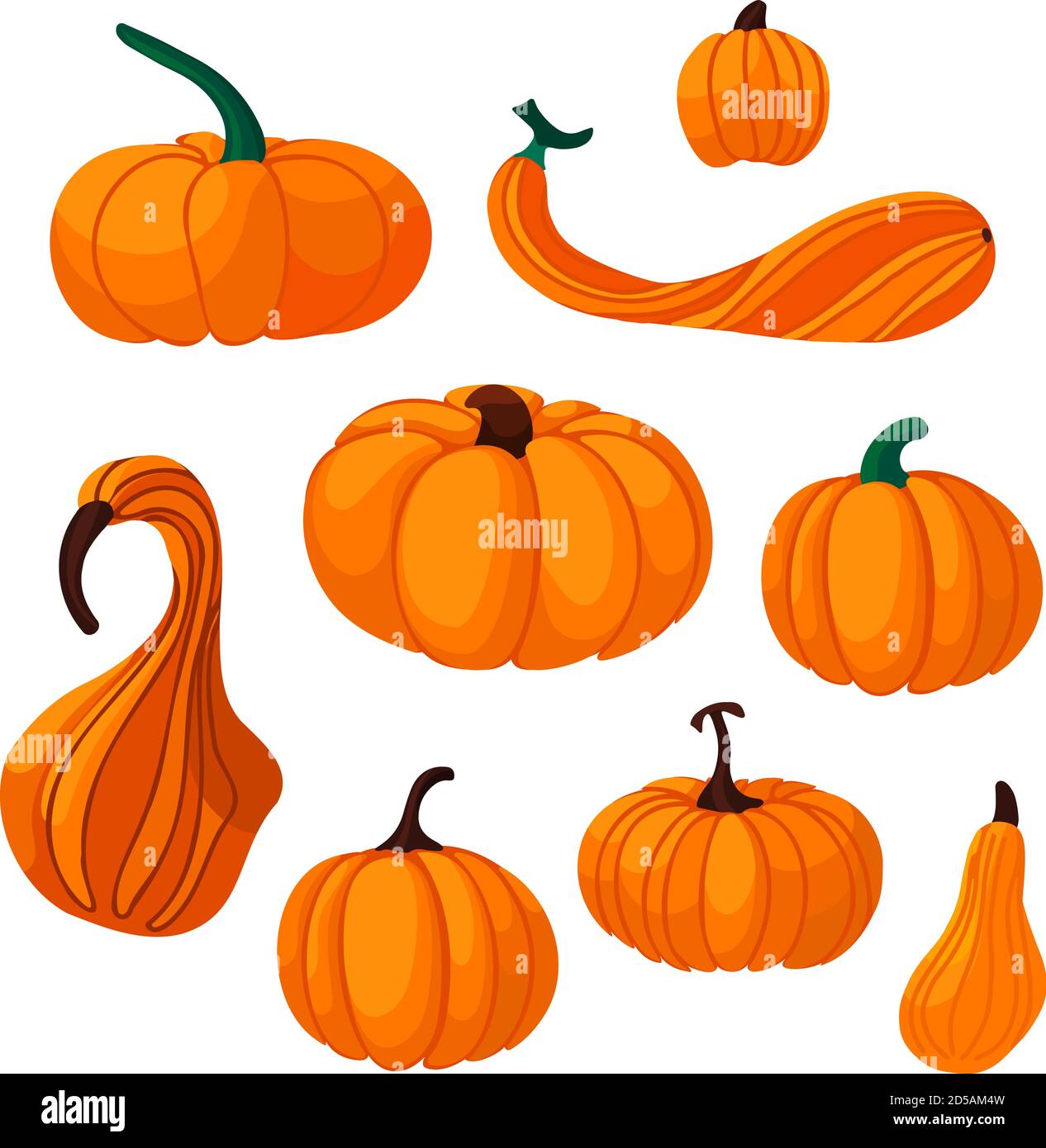 autumn orange pumpkins of different sizes isolated on white background ...