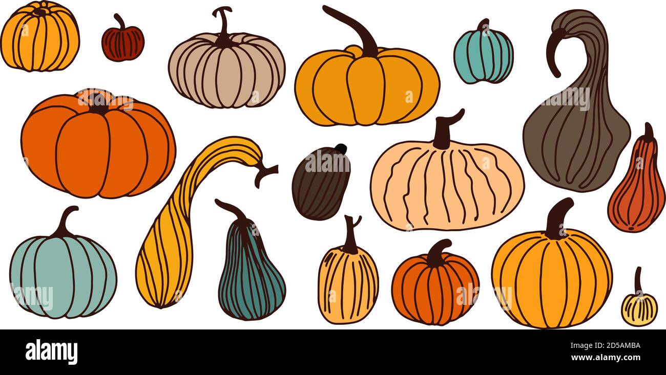 Color line pumpkins of different sizes isolated on white background ...