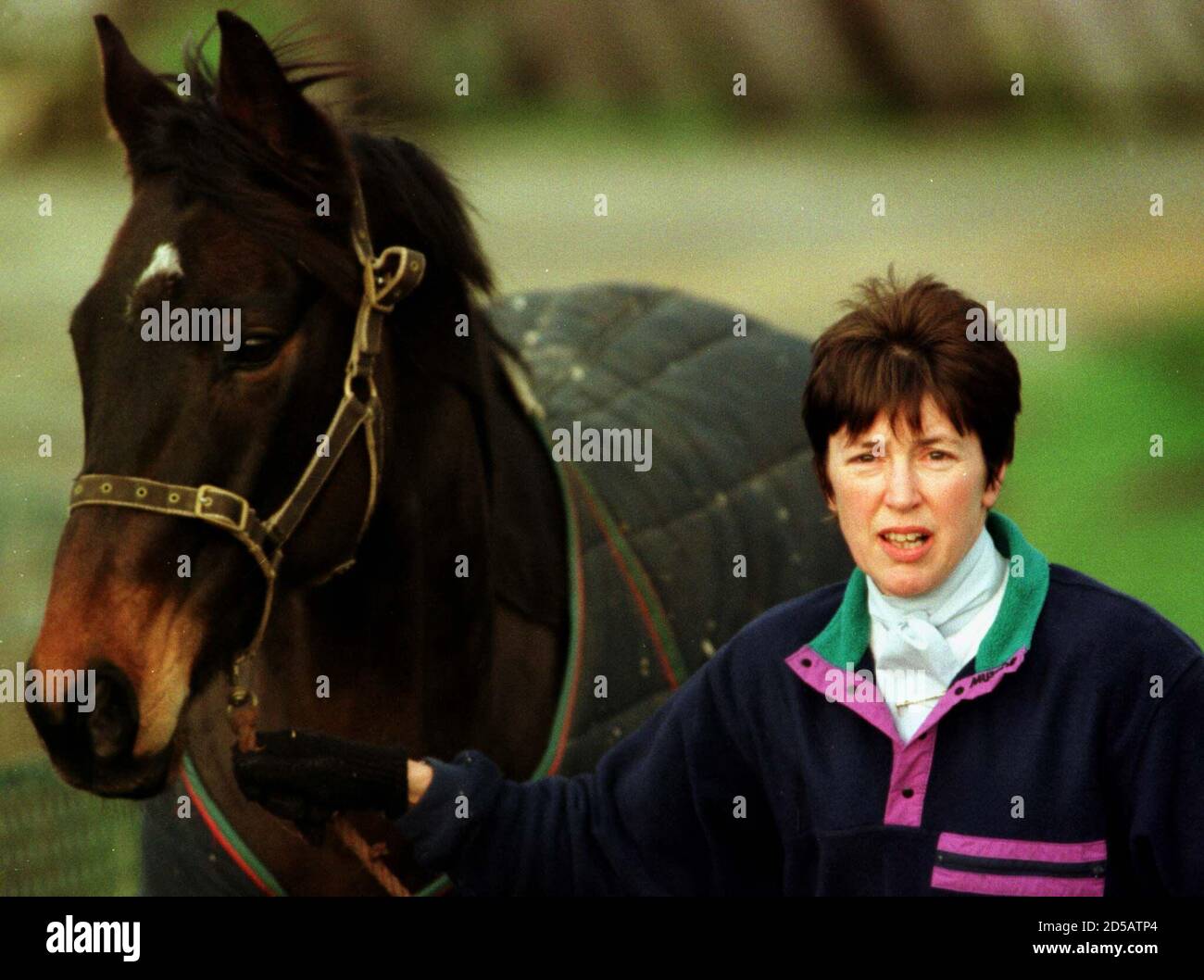 Gaynor cook hi-res stock photography and images - Alamy