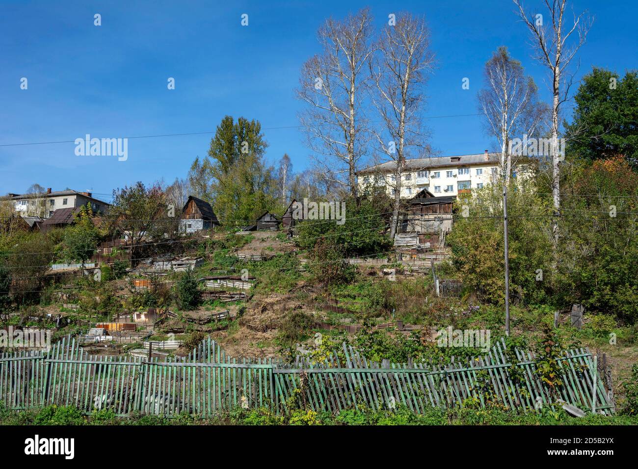 Shoriya hi-res stock photography and images - Alamy