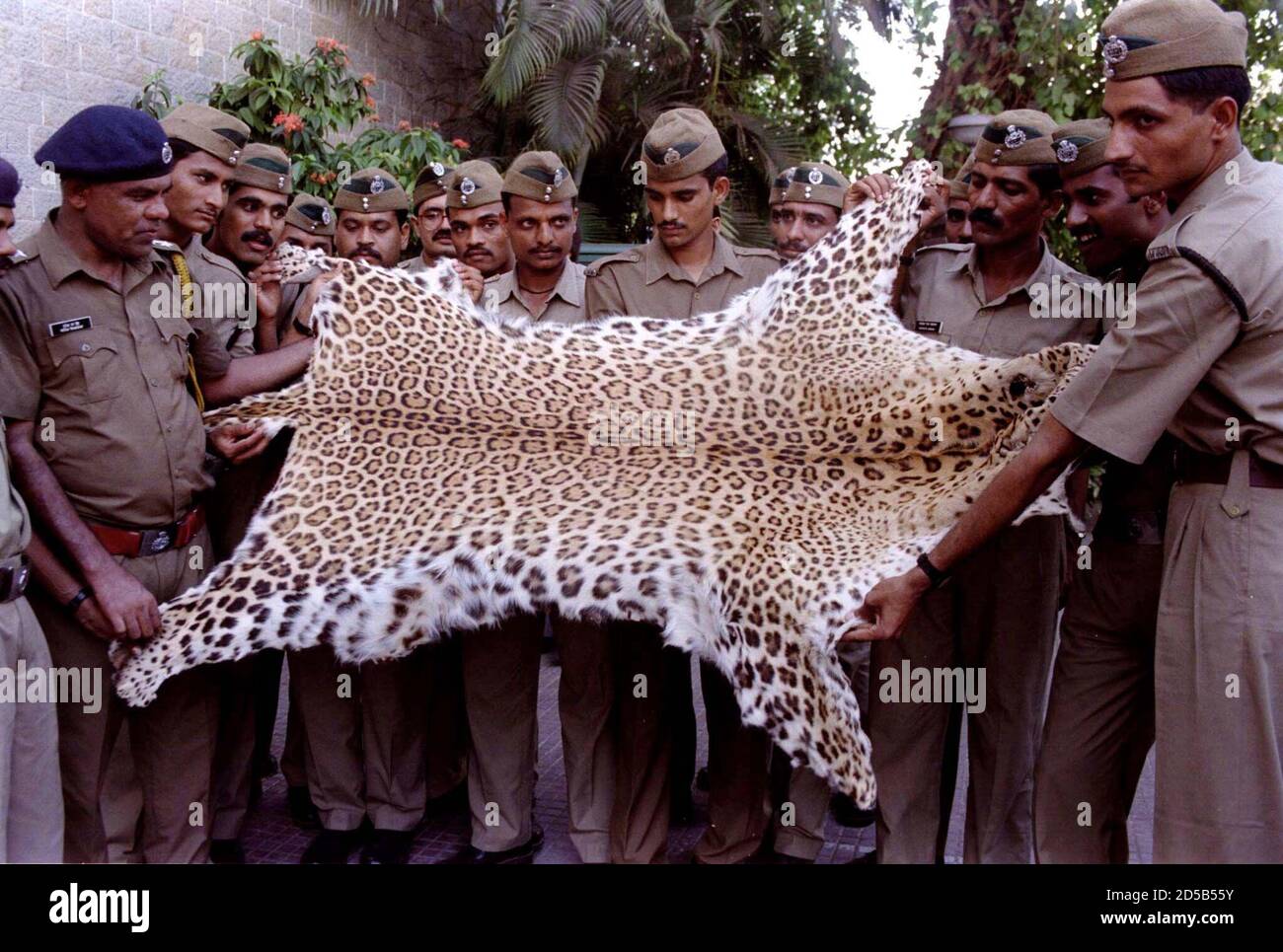 Poachers In India High Resolution Stock Photography and Images - Alamy