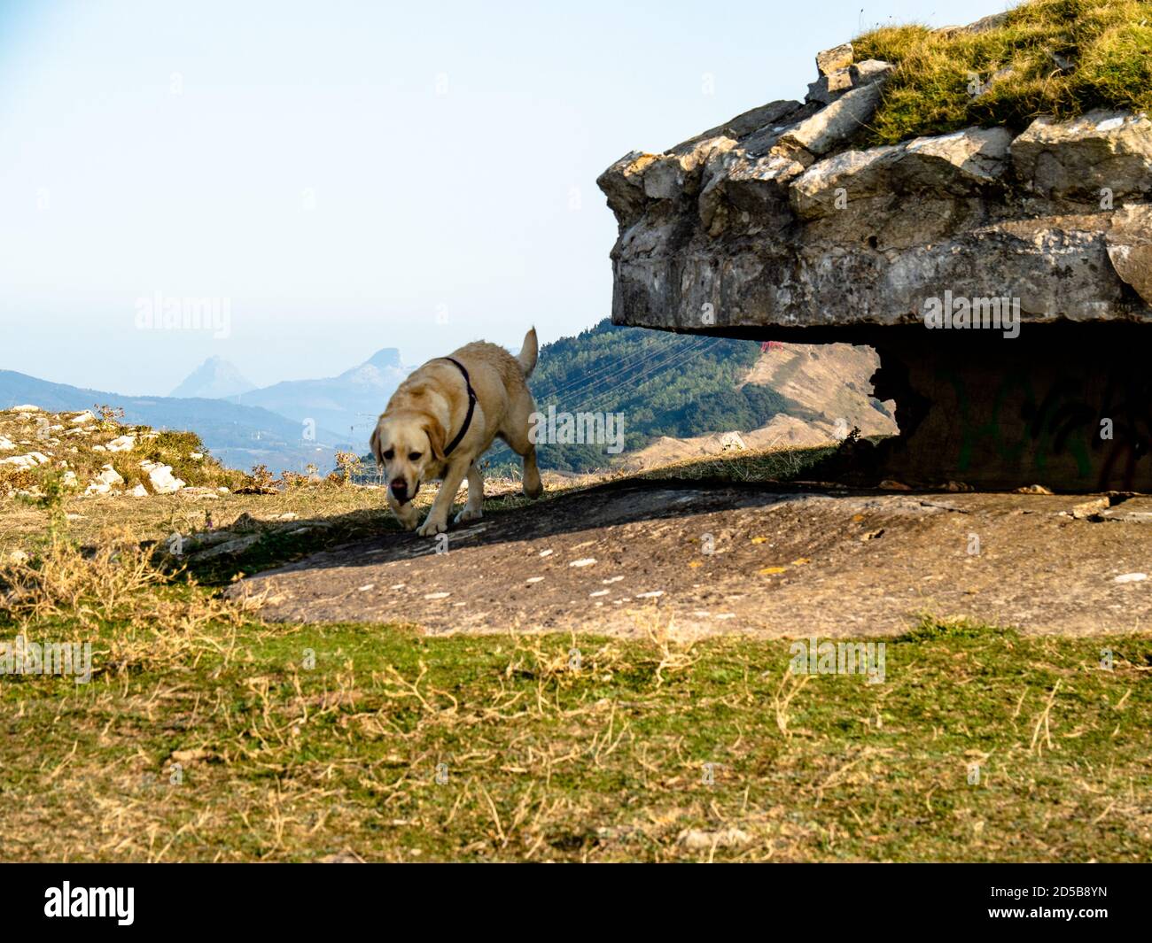 bunker with machine gun nest in a coastal defense of Bilbao Stock Photo ...
