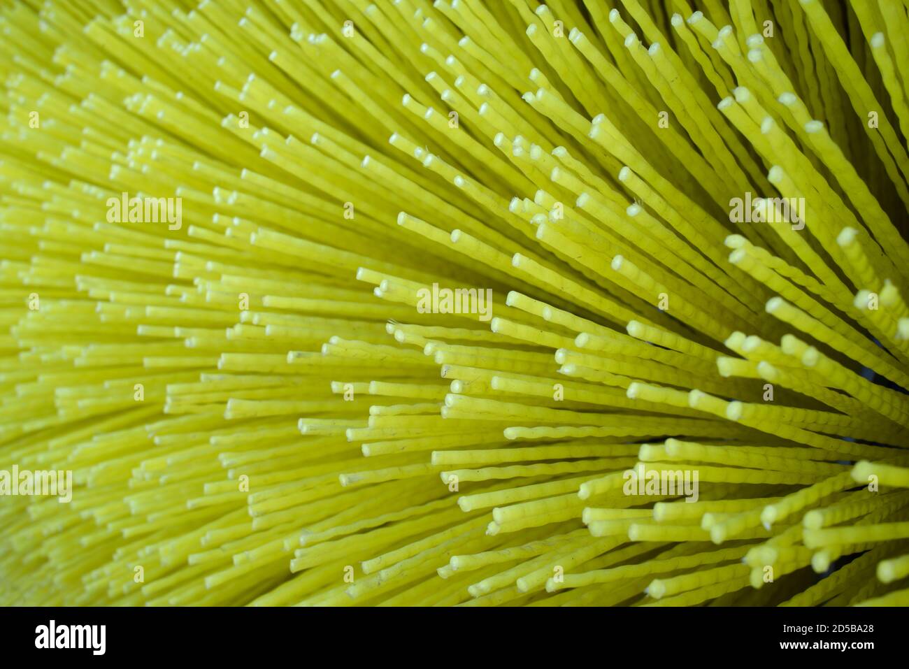 Plastic bristles hi-res stock photography and images - Alamy